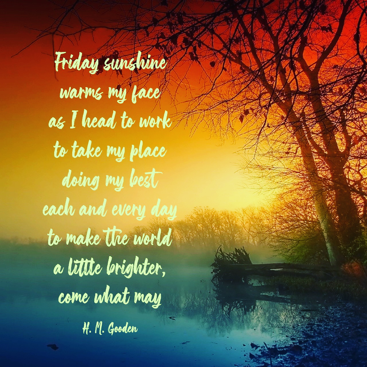 Friday sunshine – Thought Salad